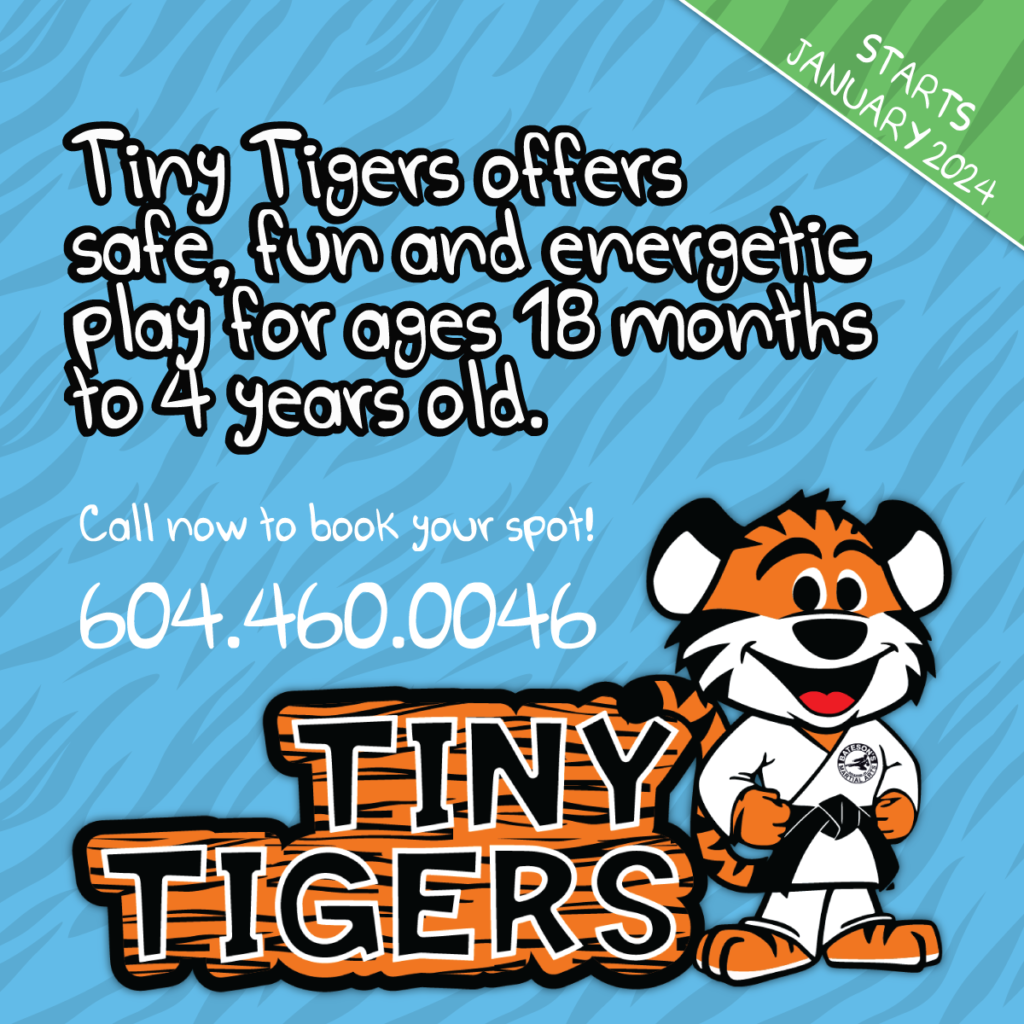 Bateson's Family Martial Arts in Maple Ridge – Tiny Tigers